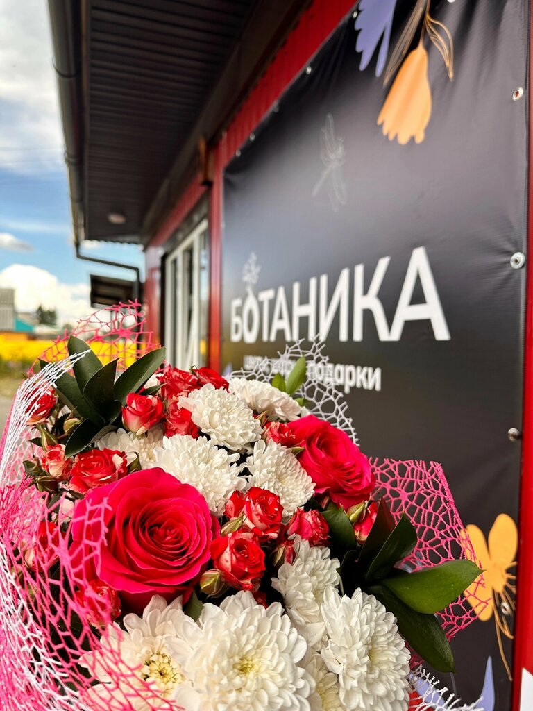 Çiçekçiler Ботаника, Komi, foto