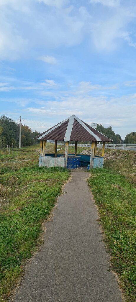 Pınar, çay родник, Vologodskaya oblastı, foto