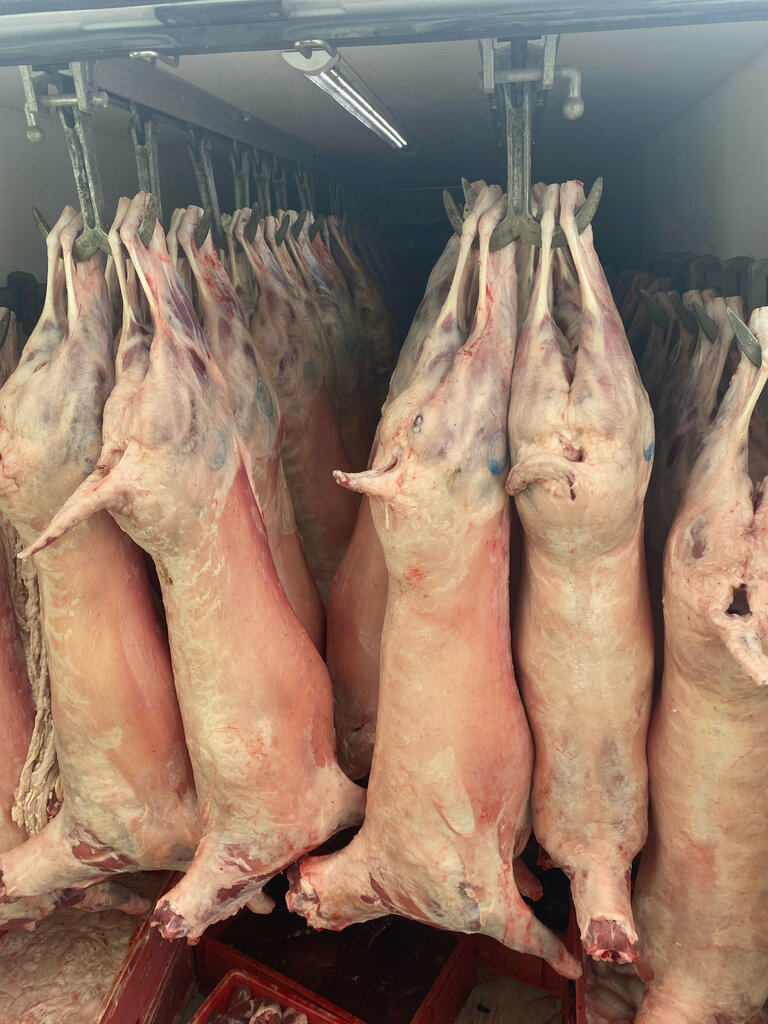 Kasap, şarküteri Çetin Et, İstanbul, foto