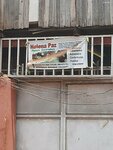 Helena PAz (Luanda Province, Municipality of Luanda, Madeira), çiçekçiler  Loanda'dan