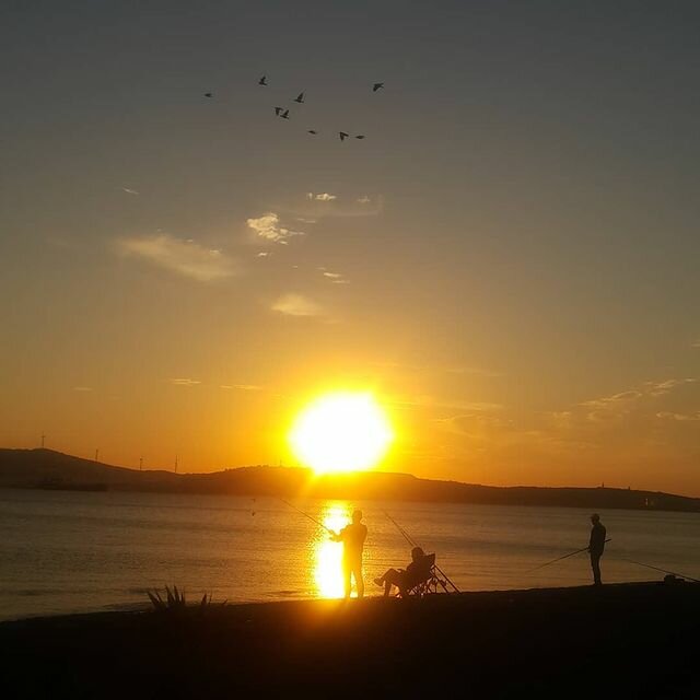 Belediyeler, devlet daireleri Aliağa Belediyesi, Aliağa, foto