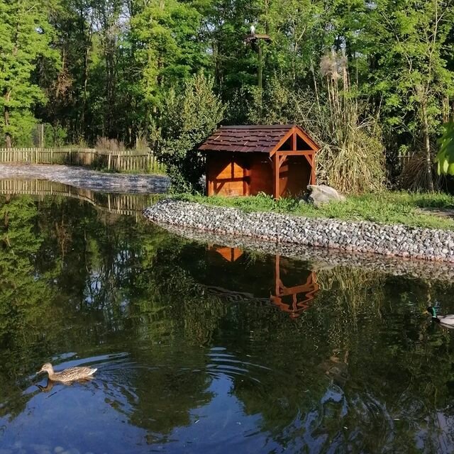 Hayvanat bahçeleri Polenezköy Zoo, İstanbul, foto