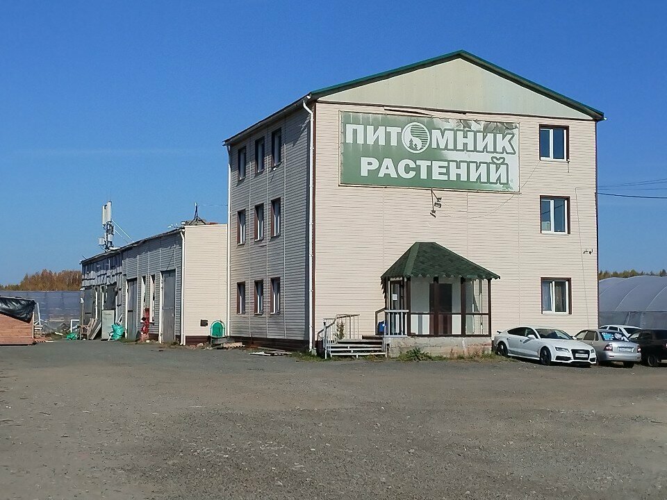 Fidan yetiştiriciliği Eko Service, Çeliabinsk, foto