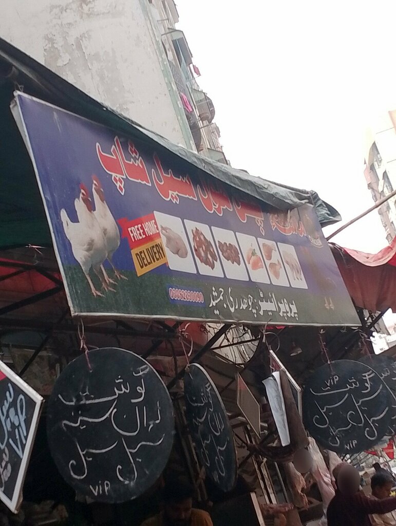 Kanatlı hayvan ürünleri ve yumurta Mashallah chicken, Karaçi, foto