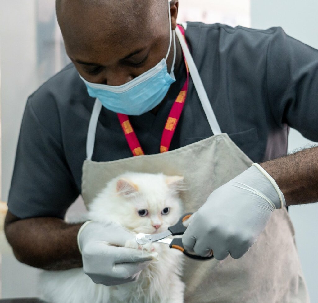 Veteriner klinikleri Zoo Veterinary Center, Abu Dabi, foto