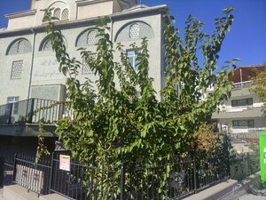 Küçükesat Bağcılar Camii (Ankara, Çankaya, Vedat Dalokay Cad., 72F), cami  Ankara'dan