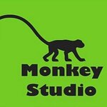 Monkey studio (ulitsa Mayakovskogo No:13), dans okulları  Elektrostal'den