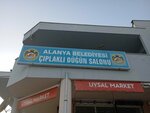 Çıplaklı Belediyesi Düğün Salonu (Antalya, Alanya, Çıplaklı Mah., Belediye Cad., 17), düğün, toplantı salonu  Alanya'dan