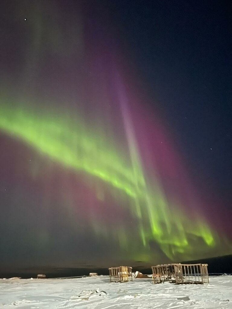 i̇skele причал Харасавэй, Yamal‑Nenets Özerk Bölgesi, foto