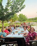 Ion Village (İzmir, Urla, Barbaros Mah., 7039. Sok.), tarım firmaları  Urla'dan