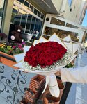 Iğdır Dream Flowerss Çiçekçilik (Iğdır, Iğdır Merkez , Vali Konağı Yolu Cad., 43), çiçekçiler  Iğdır'dan