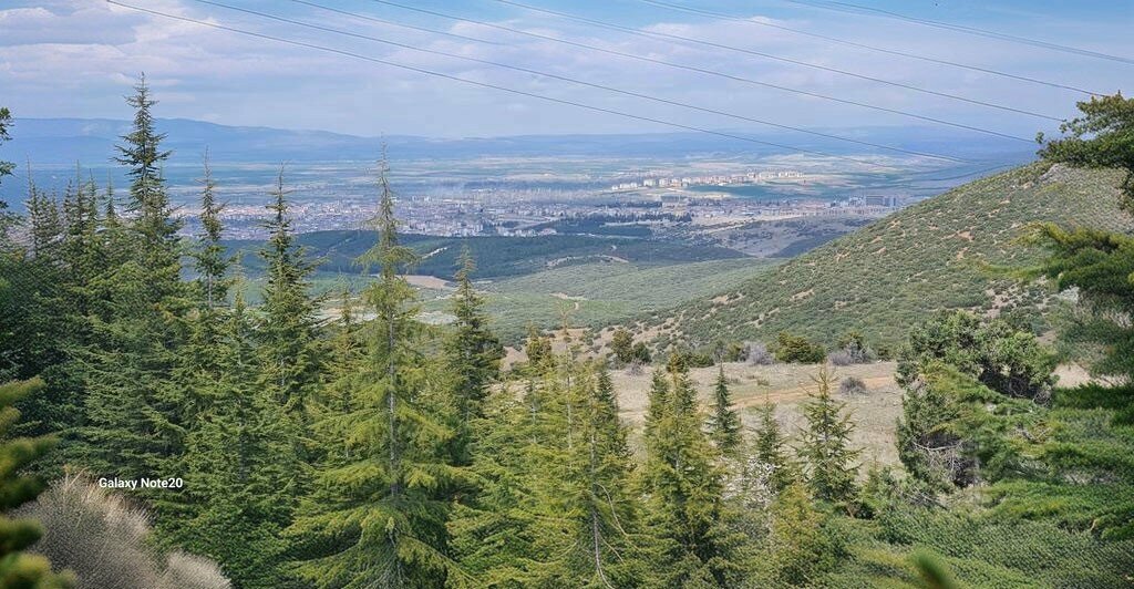 Muhtarlıklar Şamlar Mahalle Muhtarlığı, Beyşehir, foto