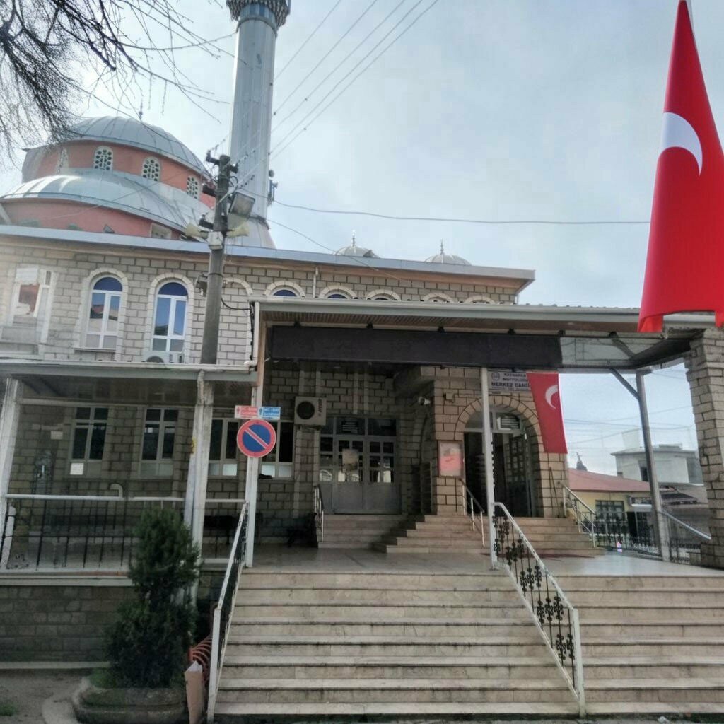 Cami Merkez Cami, Kaynarca, foto