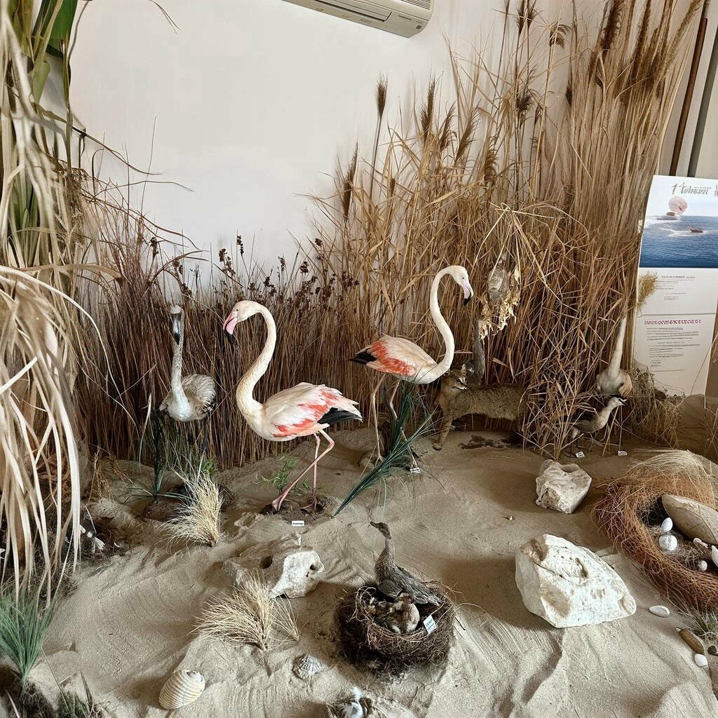 Kafe Müze Kafe, Söke, foto