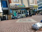 Yazır Akvaryum (Konya, Selçuklu, Yazır Mah., Temizcanlar Sok., 22), petshop  Konya'dan