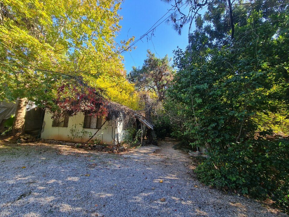 Restoran Toklu Alabalık Tesisi, Antalya, foto