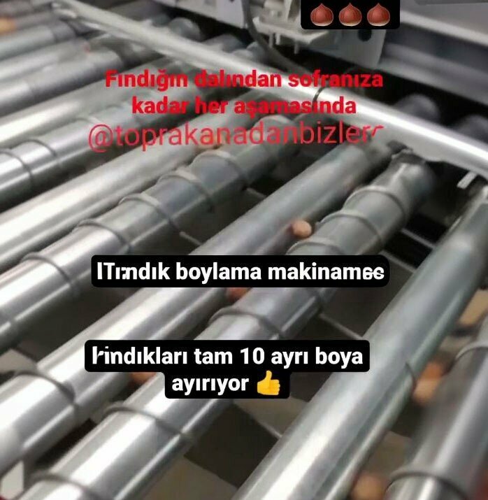 Sanayi kuruluşu Bulancak Fındık Kırma Kavurma, Bulancak, foto