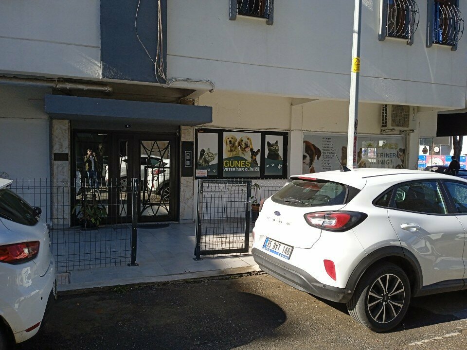 Seyahat acenteleri Gürsel Turizm, İzmir, foto