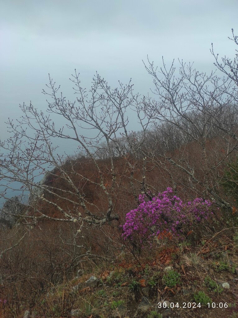 Dağ zirvesi Мыс Сигнальный, Primoriye, foto