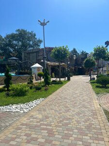 Крокодиловая ферма (Kirova Street No:5, Gelendzhik), hayvanat bahçeleri  Gelencik'ten