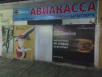 Авиакасса (ulitsa Nurgazyyeva No:13), uçak biletleri  Batken'den