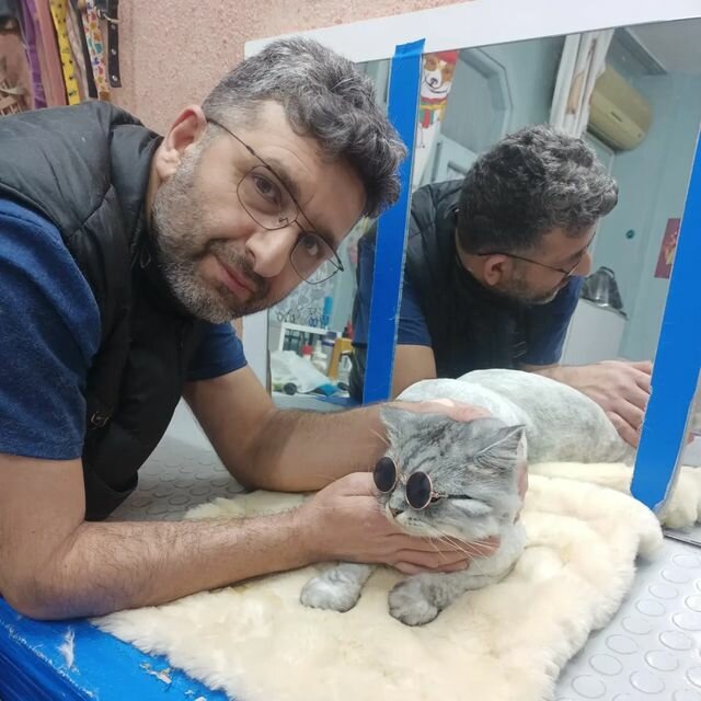 Evcil hayvan kuaförleri Atakent Pet Kuaför, İstanbul, foto