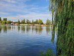 У Василича (Bryanskiy rayon, Novodarkovichskoye selskoye poseleniye, derevnya Dubrovka), resort oteller, tesisler  Brianskaya oblastından