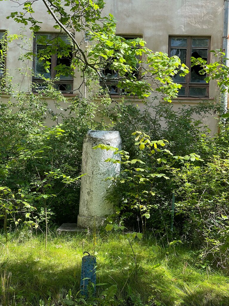Anıt, heykel Н.Г. Маркин, Vyborg, foto