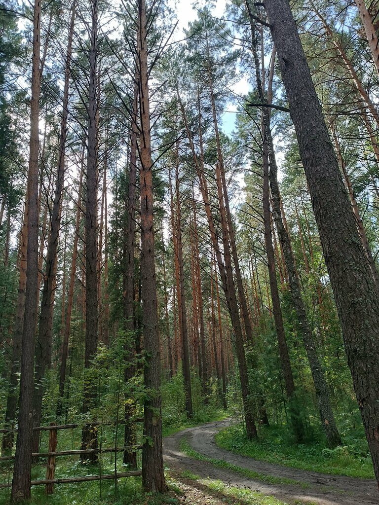 Resort oteller, tesisler Заимка Речная, Tomskaya oblastı, foto