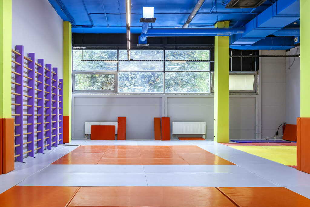 Spor kulüpleri Shkarin school, Himki, foto