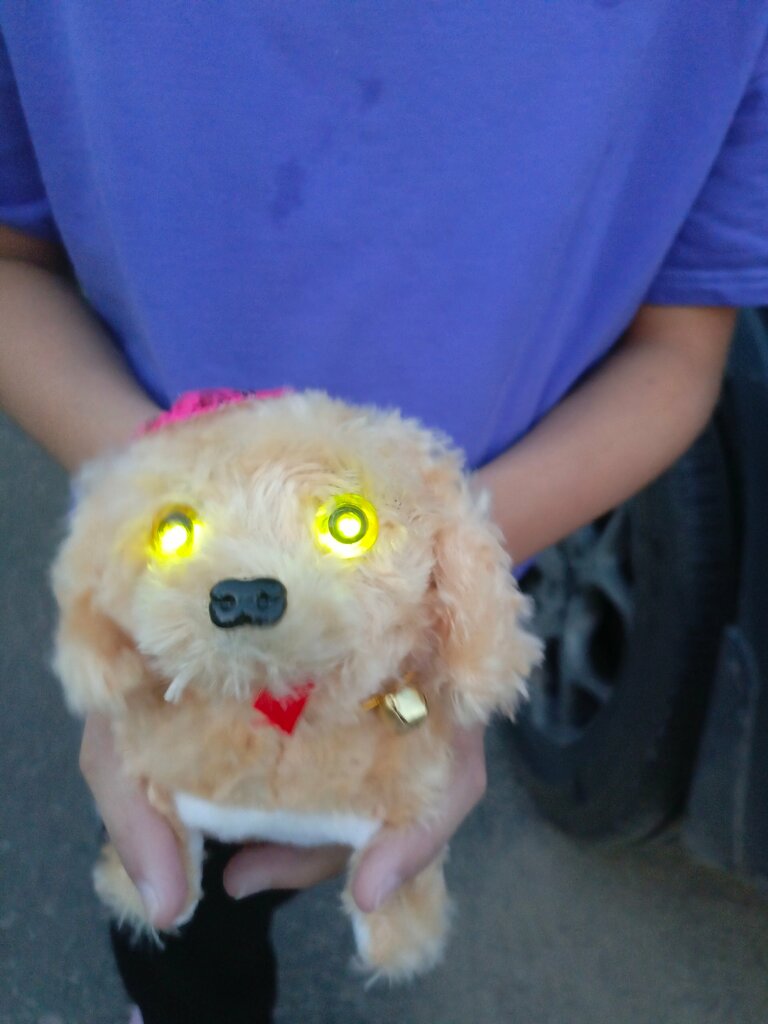 Çocuk esirgeme kurumu Gosudarstvennoe uchrezhdenie Jaroslavskoj oblasti Rybinskij detskij dom, Rybinsk, foto