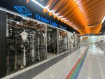 Oazis layt (Kiyevskoye shosse, 22-y kilometr No:4с2кГ, Zapadniy Administrative District, Solntsevo District, Moscow), lamba ve avize mağazaları  Moskova'dan