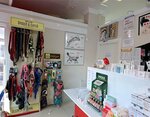 Mv Pet Veteriner Kliniği (Yazıcızade Mah., Melek Sok., No:2, Gelibolu, Çanakkale), veteriner klinikleri  Gelibolu'dan