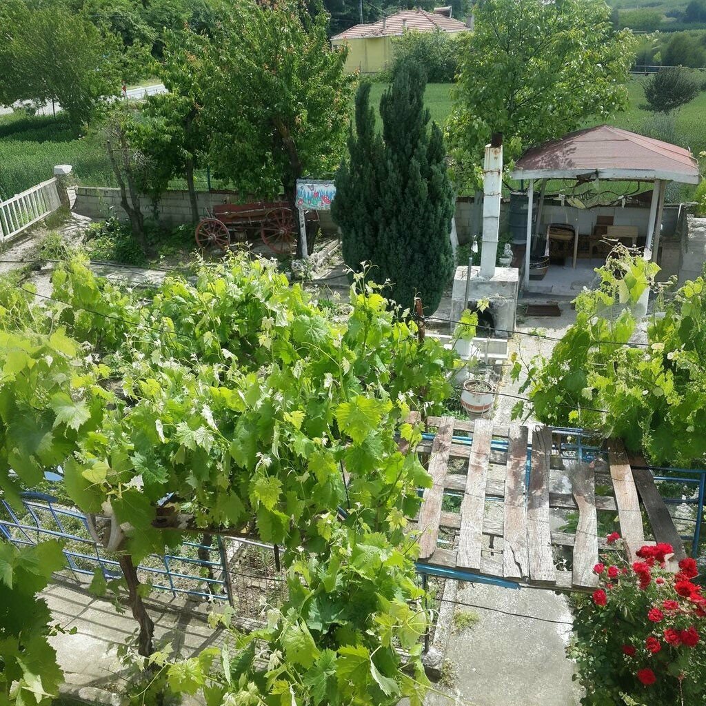 Anıt, heykel Poyralı Şehitliği, Pınarhisar, foto