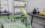 Vetmar Pati Veteriner Kliniği (Yenişehir, karayolları parkı arkası, İsmet Kent Çarşısı, 47200 Artuklu/Mardin), veteriner klinikleri  Artuklu'dan