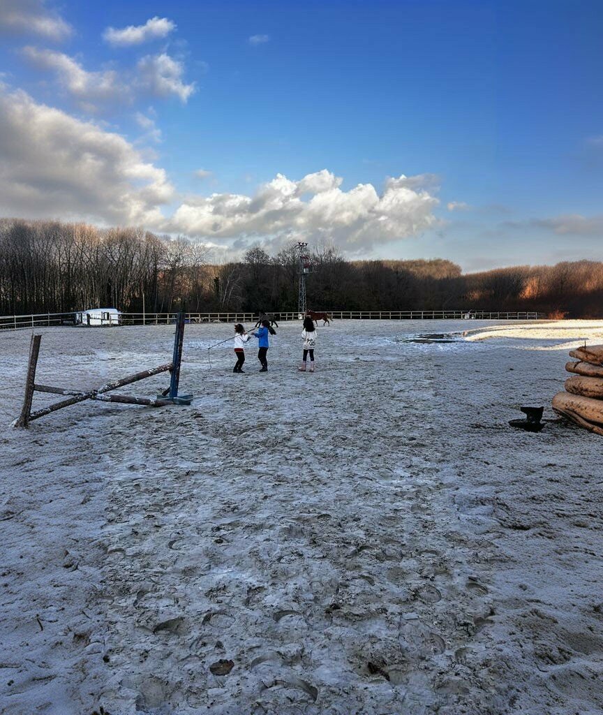 At ve binicilik kulüpleri At Köyü Binicilik Spor Kulübü, Şile, foto