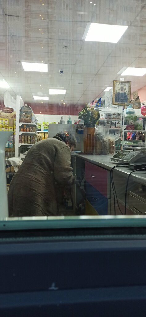 Petshop Мой магазин, Domodedovo, foto