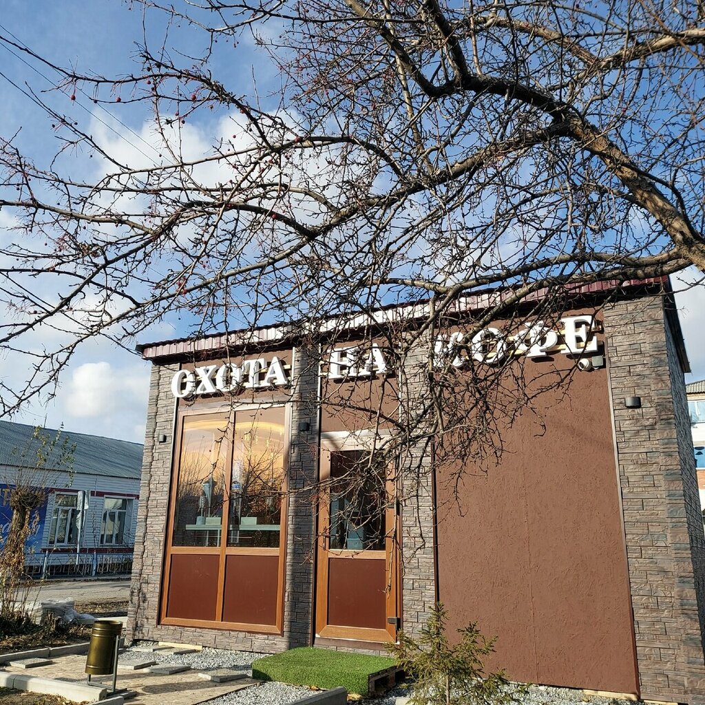 Kahve dükkanları Охота на кофе, Novosibirskaya oblastı, foto
