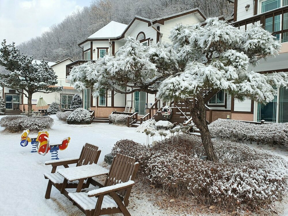 Otel Forest of Color Pension, Kangvon İli, foto