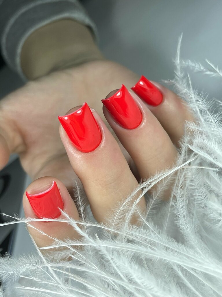 Güzellik salonu Лапки, Syktivkar, foto