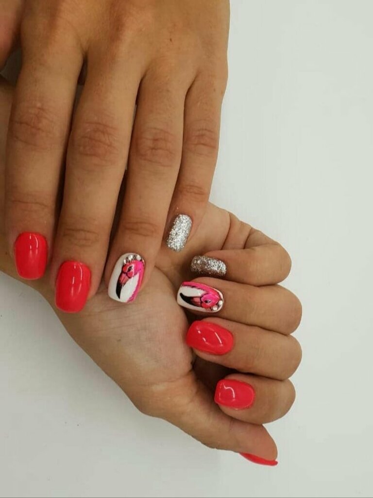 Podoloji Podolog Nadin, Kudrovo, foto