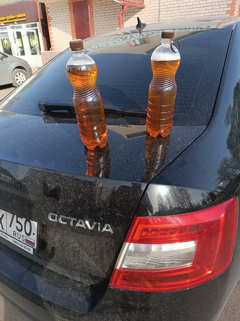 Bira dükkanı Khmel'naya Milya, Poçinok, foto