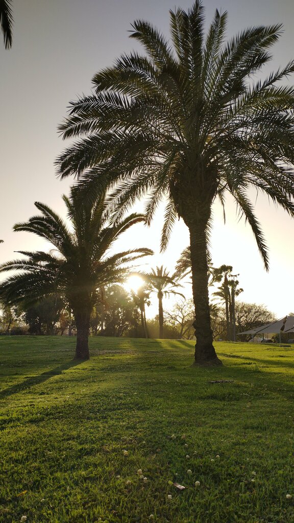 Kültür ve eğlence parkları Gdolei Israel Garden, Beerşeba, foto