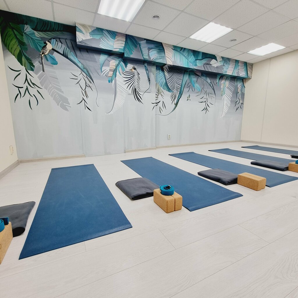 Yoga stüdyosu Студия йоги Ирины Коленцевой, Moskova, foto