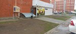 Pivko (Gerasimov Street No:2), bira dükkanı  Kostanay'dan
