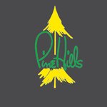 Pine Hills park (ulitsa Starateley No:33), glamping  Pervouralsk'tan