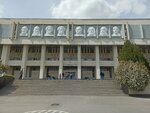 Volontersky tsentr Provyv VolGU (Universitetskiy Avenue No:100), sivil toplum kuruluşları  Volgograd'dan