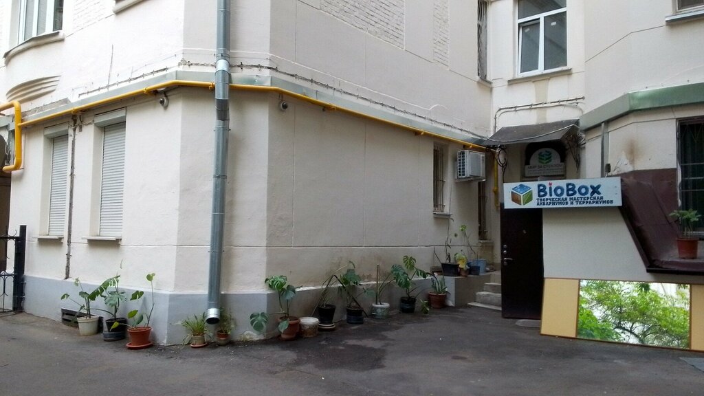 Akvaryumlar BioBox Студия профессиональной аквариумистики и террариумистики, Moskova, foto