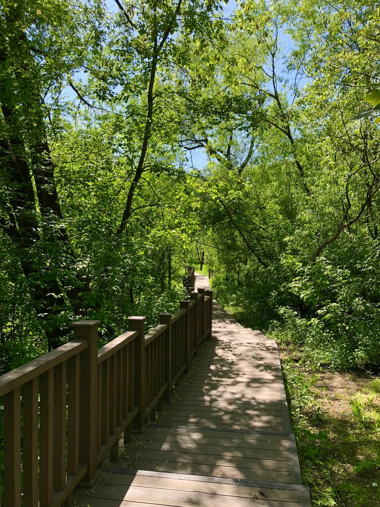 Pınar, çay Spring, stream, Moskova, foto