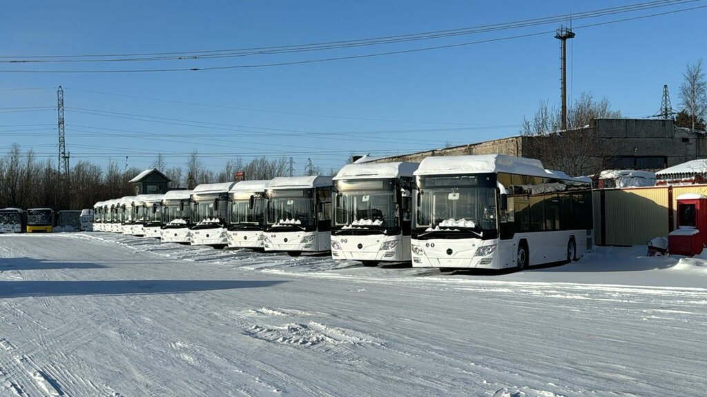 Otobüs taşımacılığı Домтрансавто, Nijnevartovsk, foto